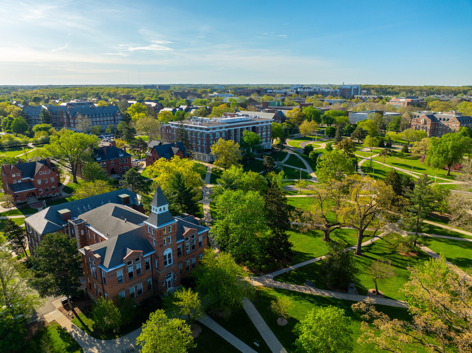 Home Page - MSU Careers