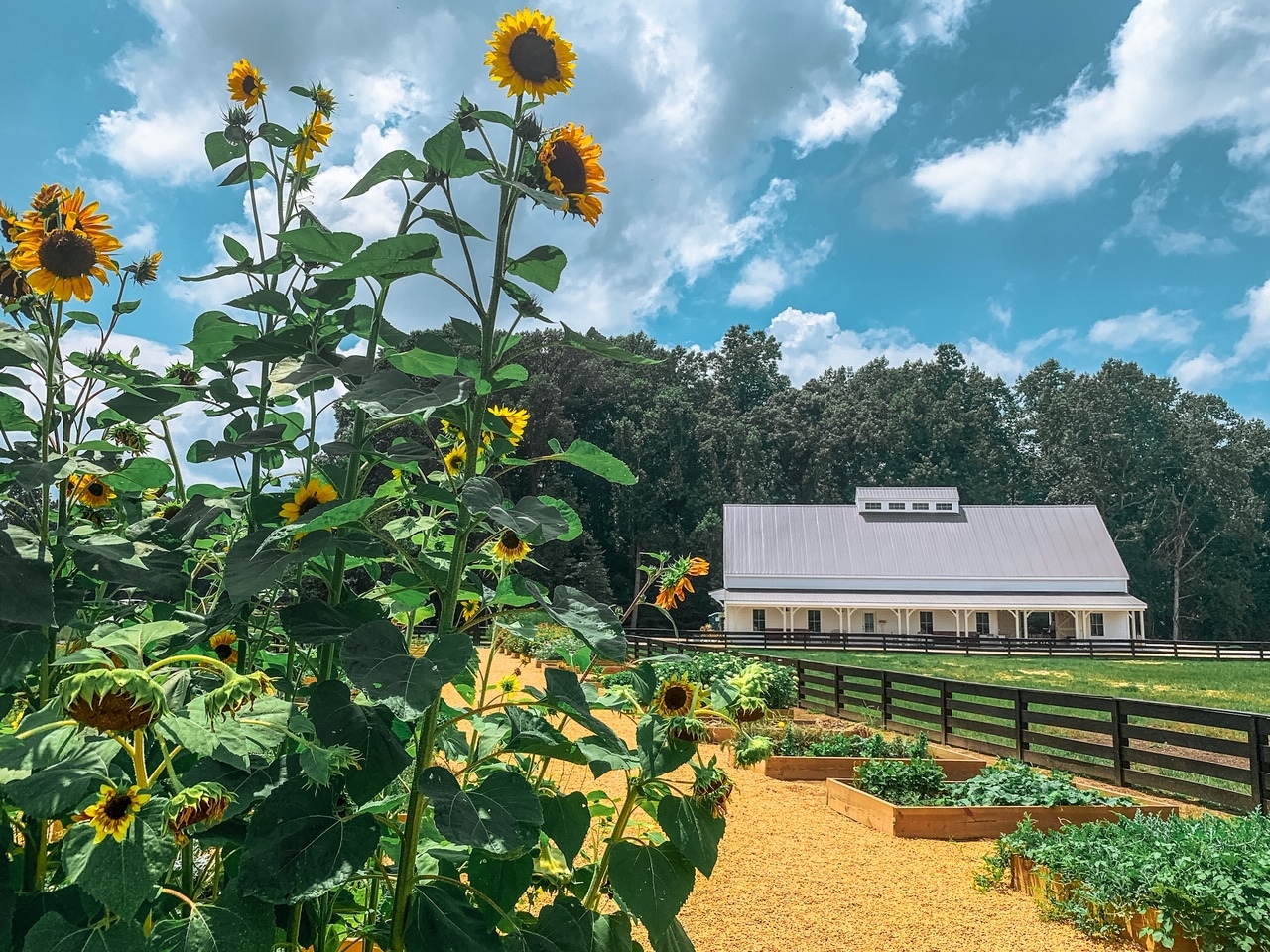 Home [careers.jamescitycountyva.gov]