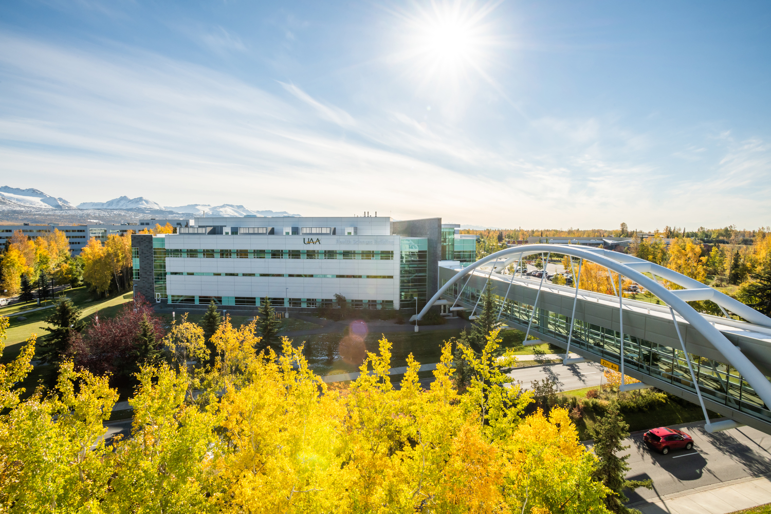 UAA IT Services