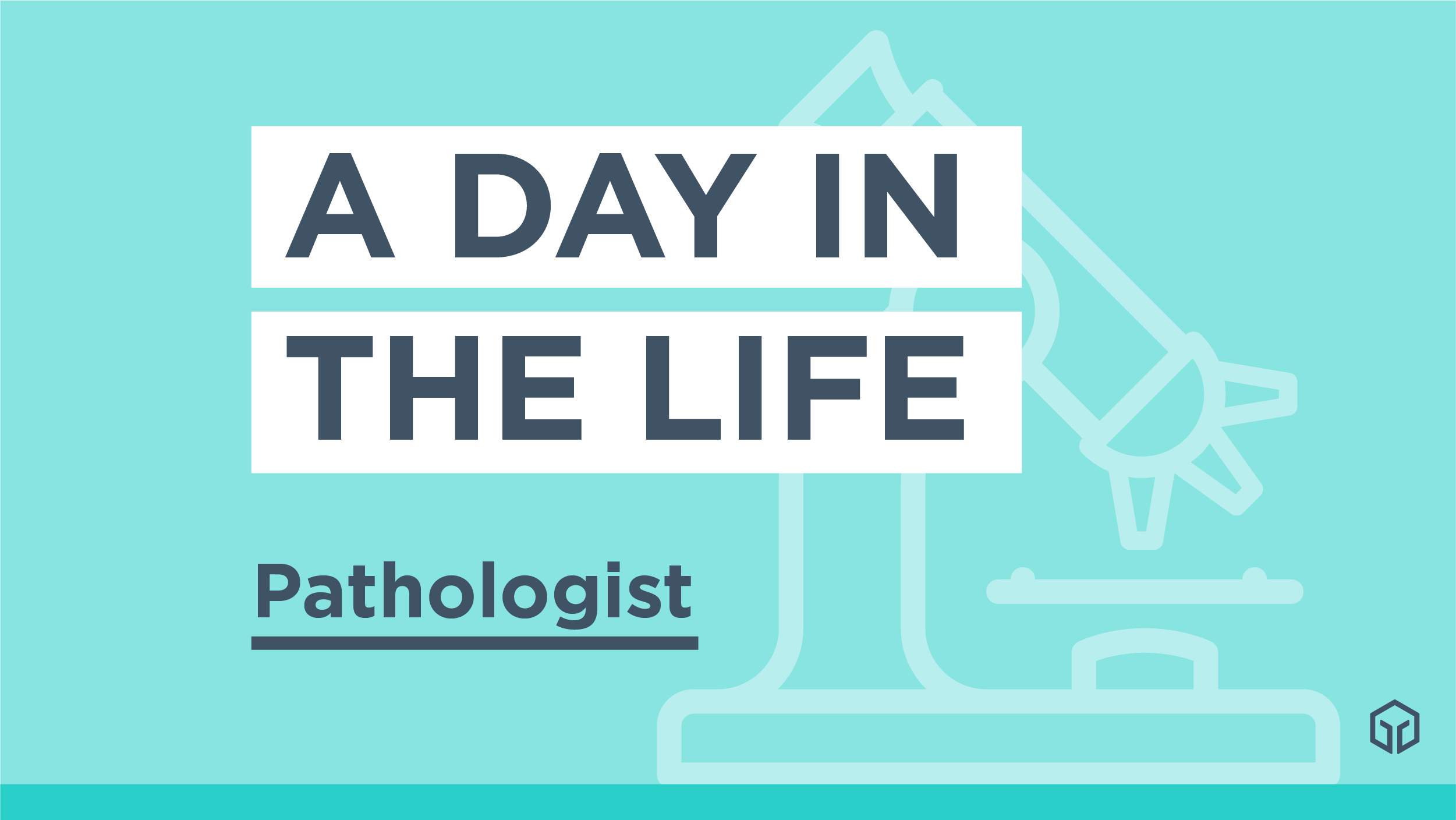 A Day in the Life of a Pathologist