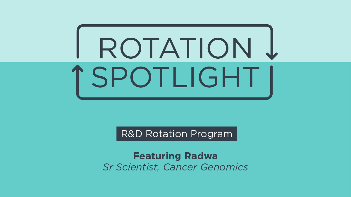 Furthering My Knowledge: My Experience in an R&D Rotation Program